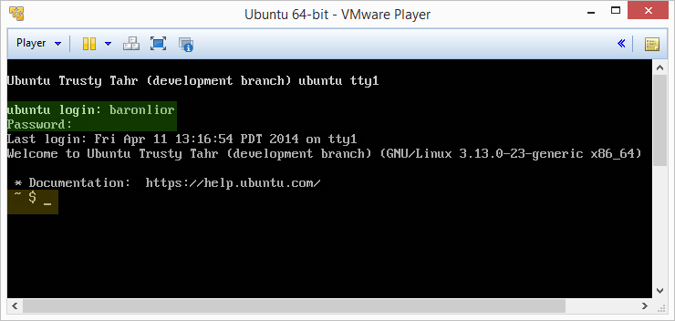 linux in vm.png – בלוג ארכיטקטורת תוכנה